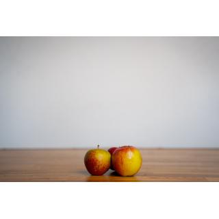 obst | Produkte | die biokischd